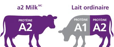 A1 vs. A2 protein: what’s the difference? a2 Milk® Canada